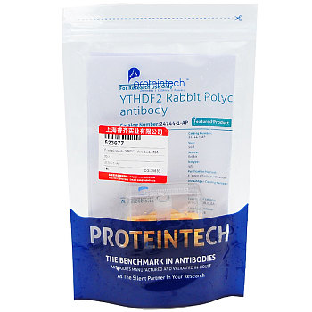 其它/Others Proteintech YTHDF2 Antibody抗体,24744-1 -AP-实验室用品商城