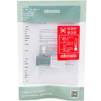 ABCAM 重组Anti-GAPDH抗体[EPR16884] (ab181603),EPR16884,ab181603-实验室用品商城