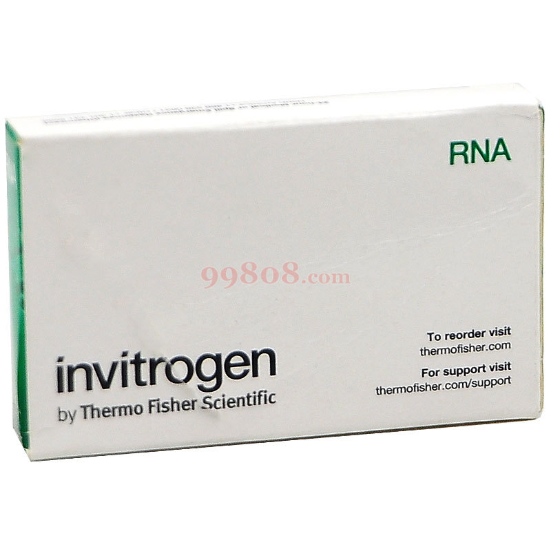 Thermo Fisher/赛默飞世尔 THERMO RNA 纯化试剂盒-20℃,RNAqueous?-Micro Total RNA ...