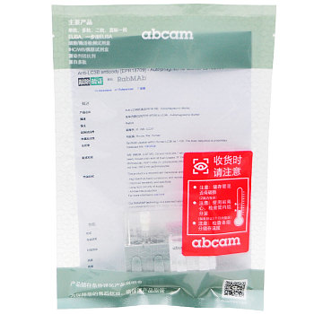 ABCAM 重组Anti-LC3B抗体[EPR18709] - Autophagosome Marker,ab192890-实验室用品商城