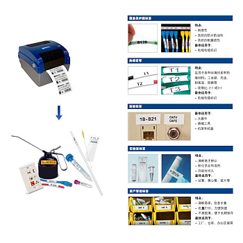 BRADY/贝迪 BBP11通用标签,THT-17-423-1.5-SC-实验室用品商城