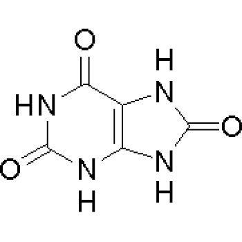 Macklin/麦克林 尿酸,Uric acid 尿酸 ;2，6，8-三羟基嘌呤,U820317-100g-实验室用品商城