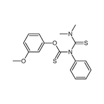 ABCAM Anti-ACSL5抗体(ab104892),-实验室用品商城