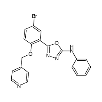 ABCAM Anti-WDR12抗体(ab111955),-实验室用品商城