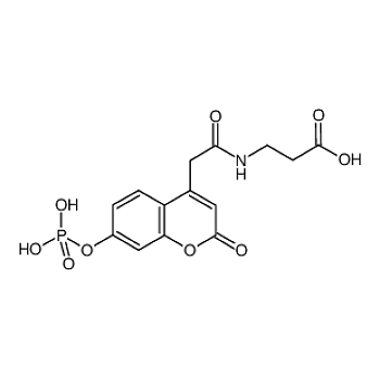 ABCAM Anti-SM22 alpha抗体(ab14106),-实验室用品商城