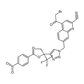 ABCAM Anti-PAK1抗体(ab154284),-实验室用品商城