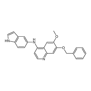 ABCAM Anti-Progesterone Receptor抗体[SP2] (ab16661),-实验室用品商城