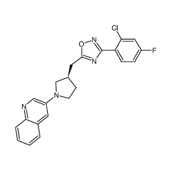 ABCAM Anti-gamma Adaptin抗体[EPR9875(B)] (ab167153),-实验室用品商城