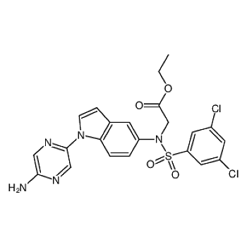 ABCAM Anti-ABCG5抗体[1B5E10] (ab175421),-实验室用品商城