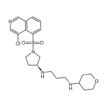 ABCAM Anti-IMP3抗体[EPR12021-114] (ab179807),-实验室用品商城