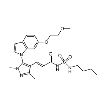 ABCAM Anti-Wilms Tumor蛋白抗体[WT1/857] (ab220212),-实验室用品商城