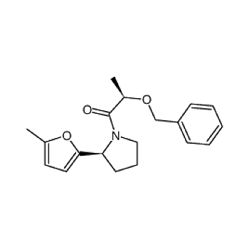 ABCAM Anti-SLC27A4 / FATP4抗体[EPR17319] - Low endotoxin，Azide free ...
