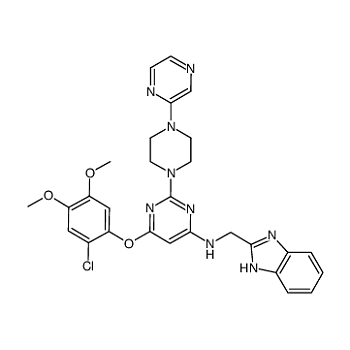 ABCAM Anti-c-Kit抗体(ab5505),-实验室用品商城