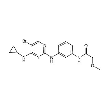 ABCAM Anti-eIF4B抗体[EP2299Y] (ab68474),-实验室用品商城