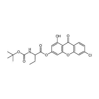 ABCAM Anti-IkB beta (phospho S23)抗体(ab75746),-实验室用品商城