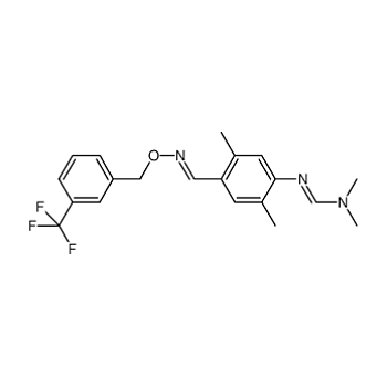 ABCAM Anti-Dishevelled 3抗体[EP1991Y] (ab76081),-实验室用品商城