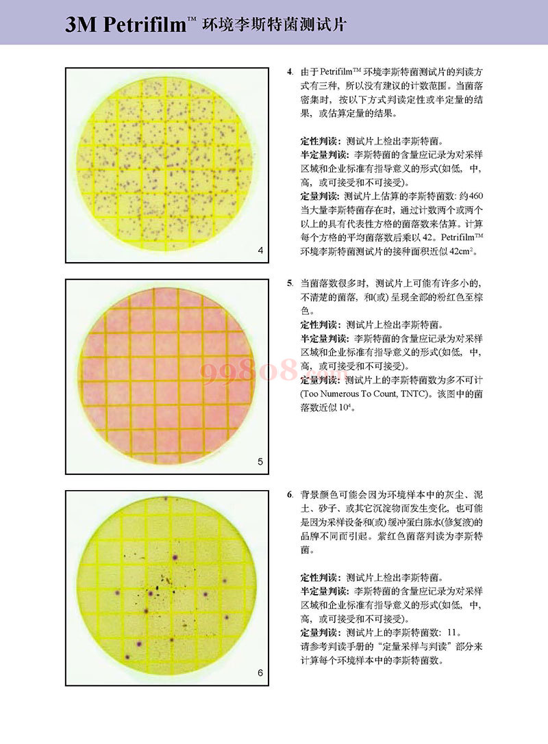 3M 环境李斯特菌测试片-6448,Petrifilm,6448-实验室用品商城