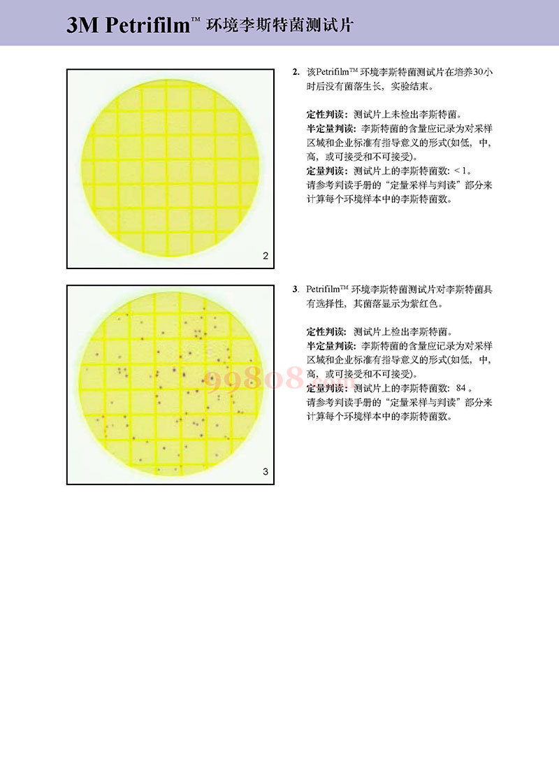 3M 环境李斯特菌测试片-6448,Petrifilm,6448-实验室用品商城